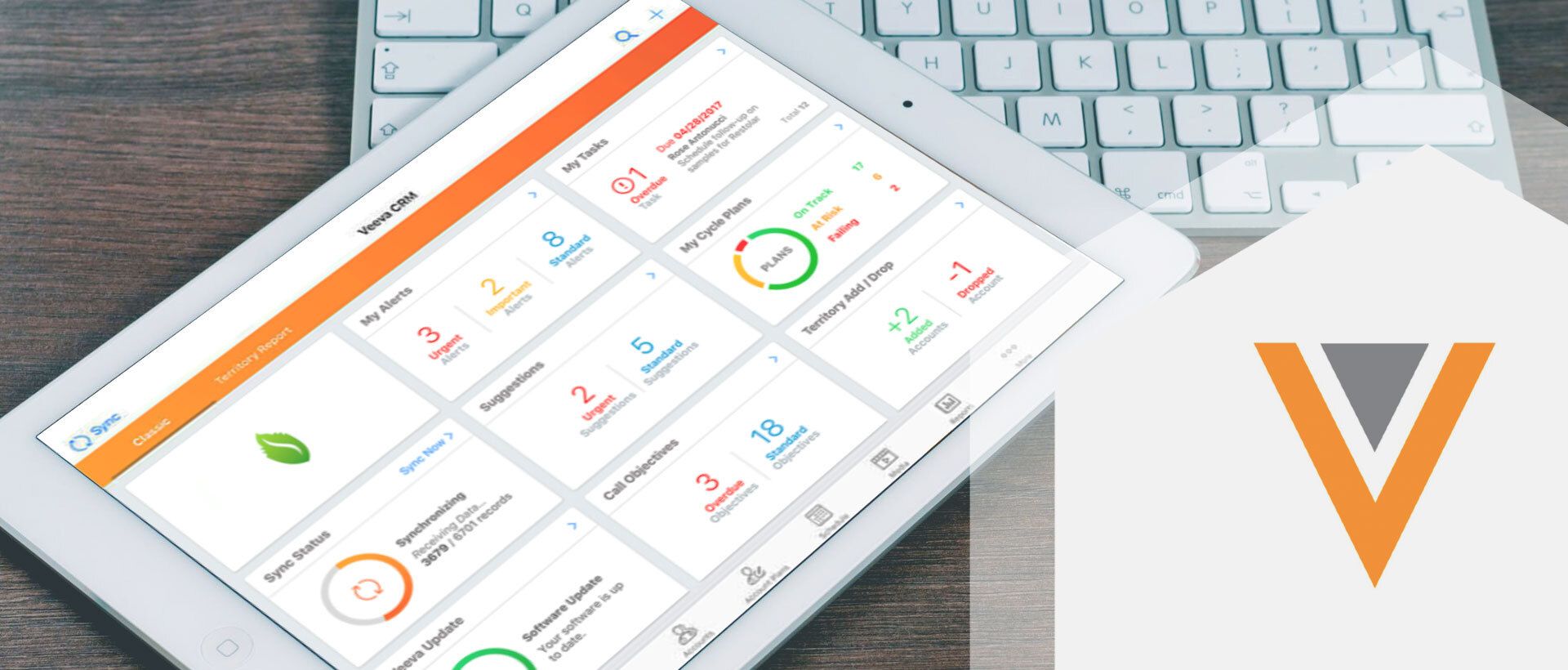 How Pharmaceutical Companies Leverage Veeva — And How We Help Them Do ...